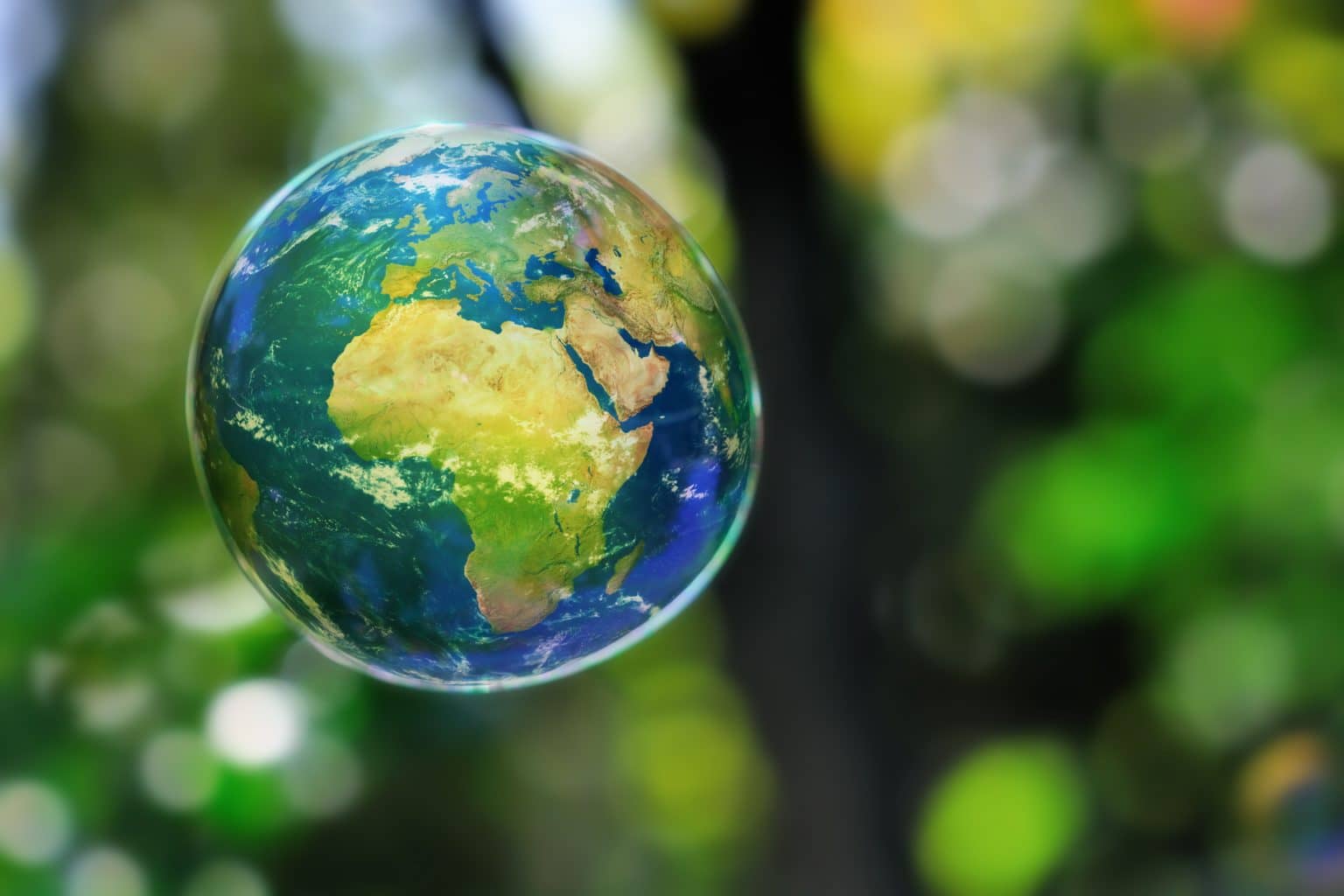 Le 22 avril, c'est la journée mondiale de la Terre