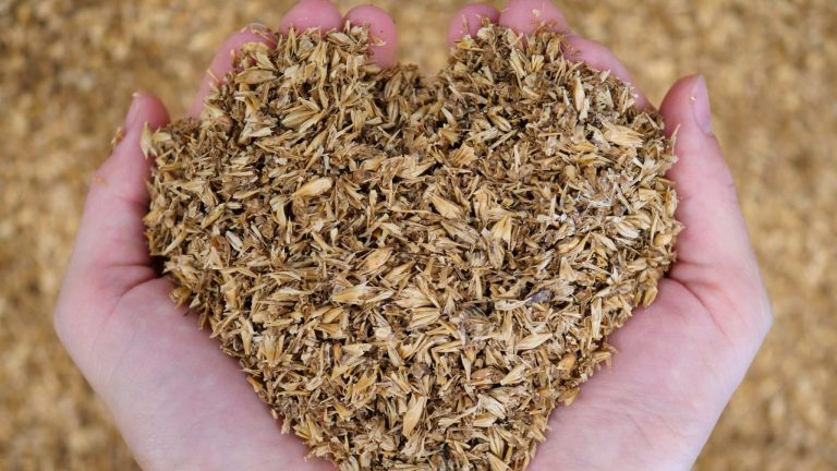 Maltivor : manger de la bière grâce à la farine de drêche