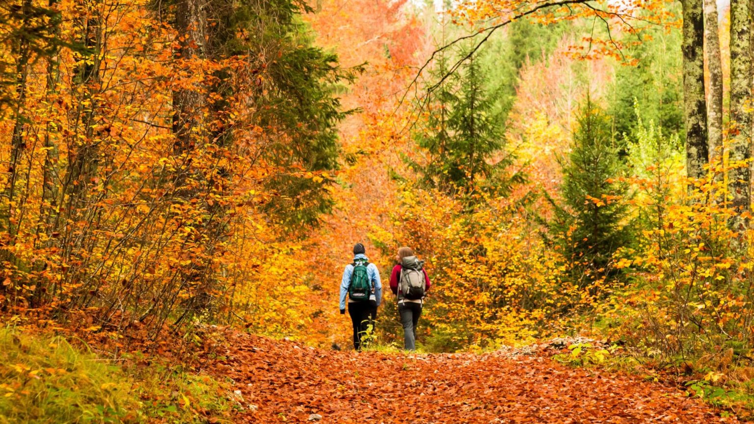 Les 10 choses positives qui vont vous faire aimer l’automne