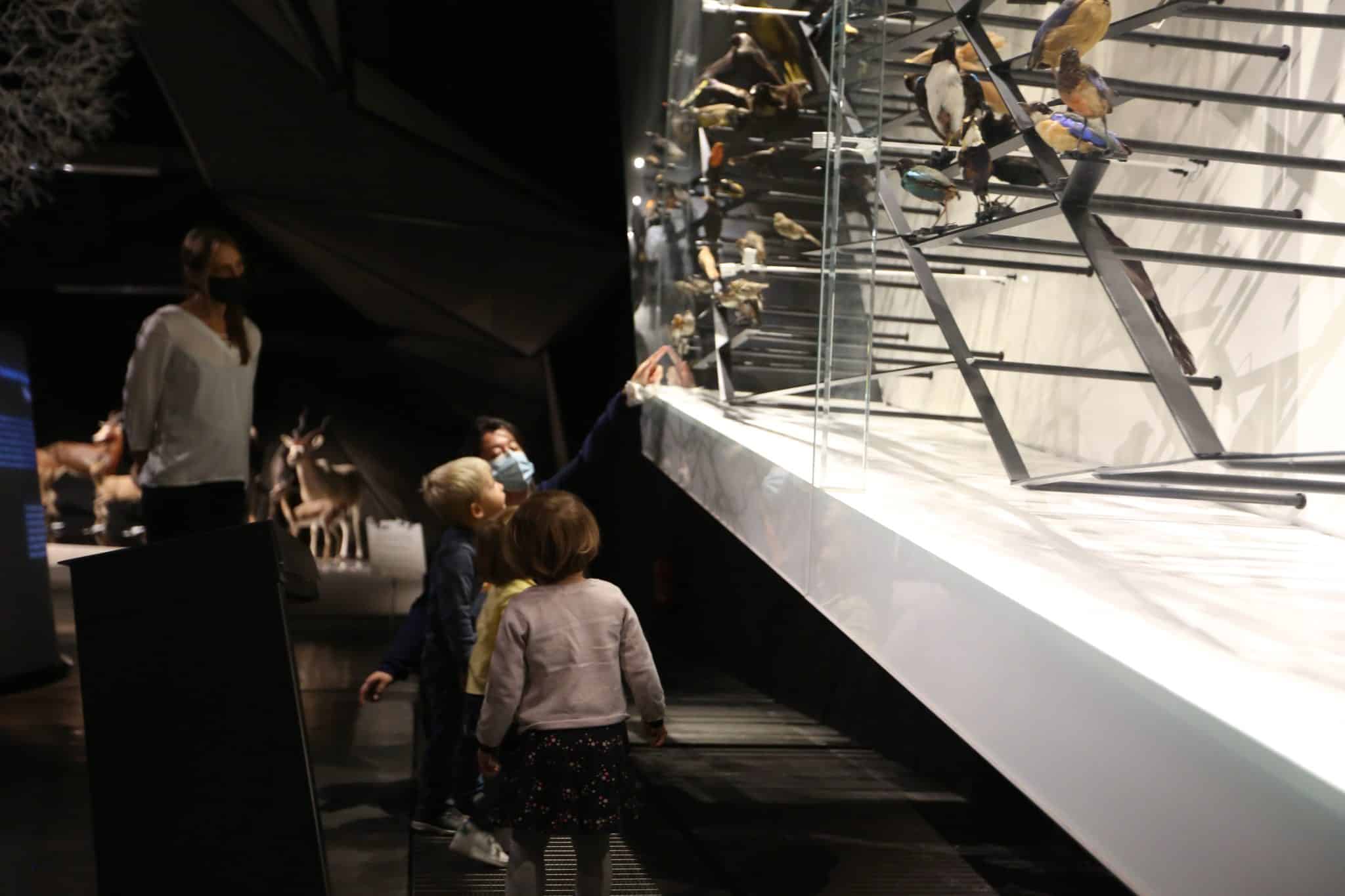 Lyon : des contes à gigoter pour faire voyager les tout-petits