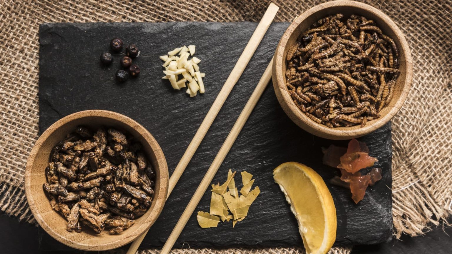 Manger des insectes, c’est bon pour la santé et pour la planète