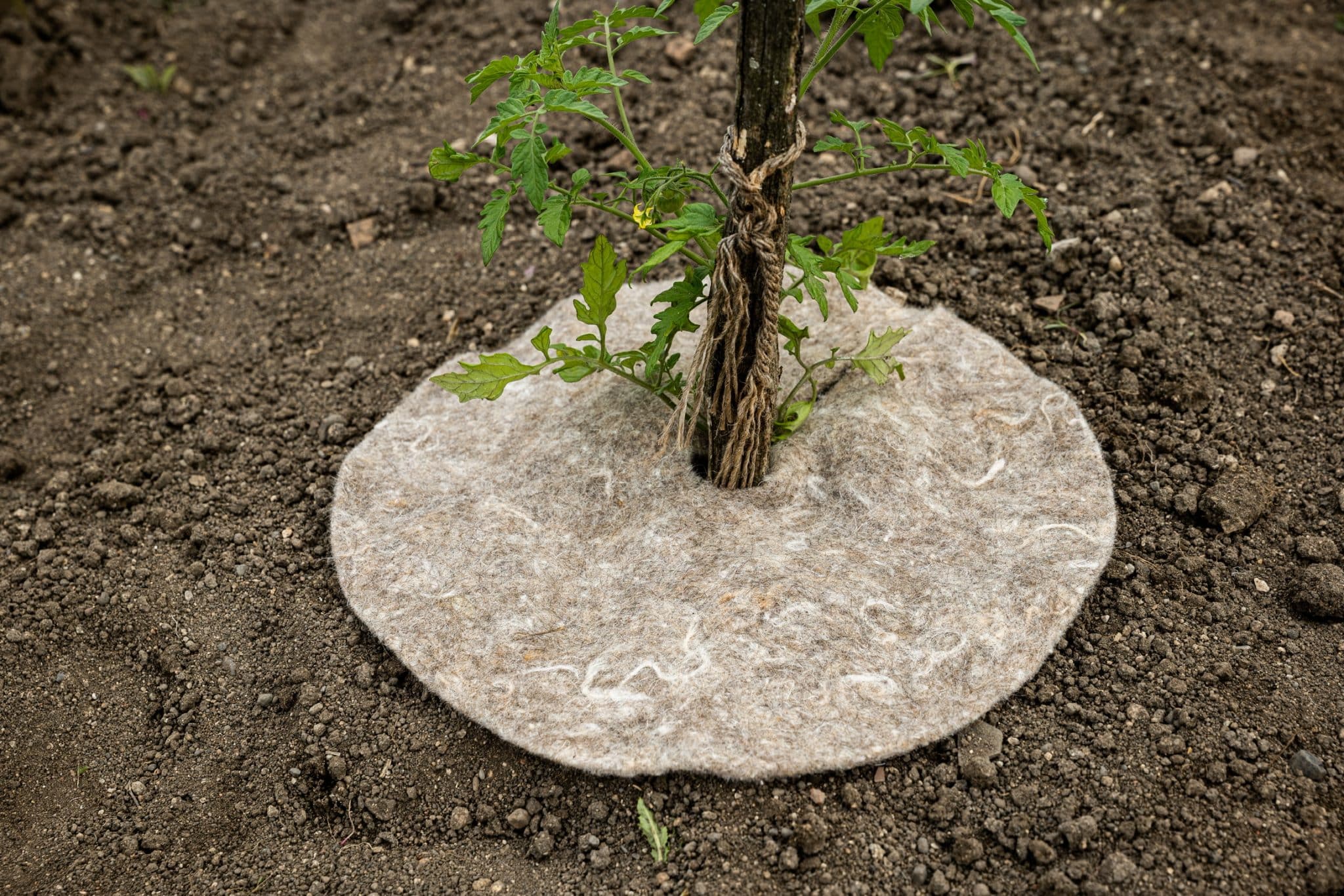 Capillum : devenir un écocitoyen en recyclant ses cheveux