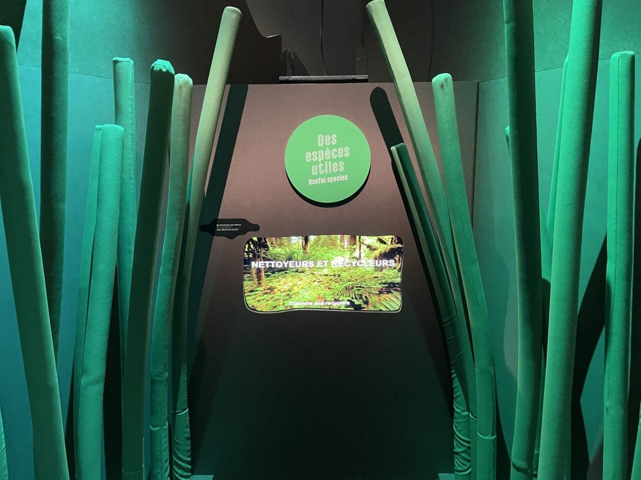 Paris : l’exposition "Mini monstres”, pour s’informer sur les insectes