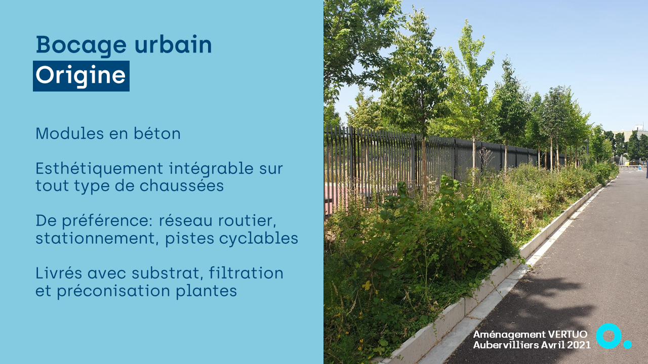 Vertuo végétalise durablement et sans arrosage les espaces urbains